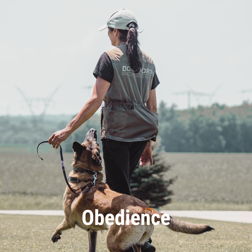 Obedience Equipment | Ruffdog Sports