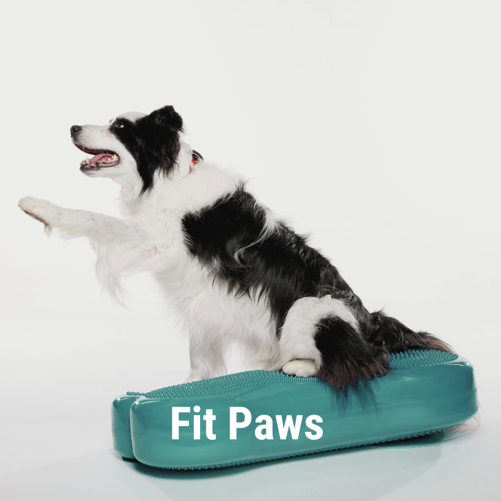 Fit Paws Dog Conditioning Products | Ruffdog Sports