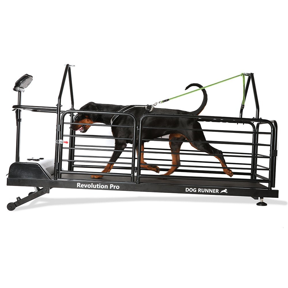 Dog Treadmills Canada | Dog Runner Professional Dog Treadmills