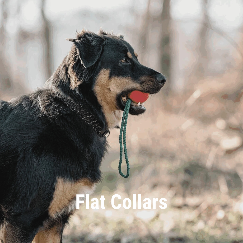 Flat Dog Collars | Ruffdog Sports