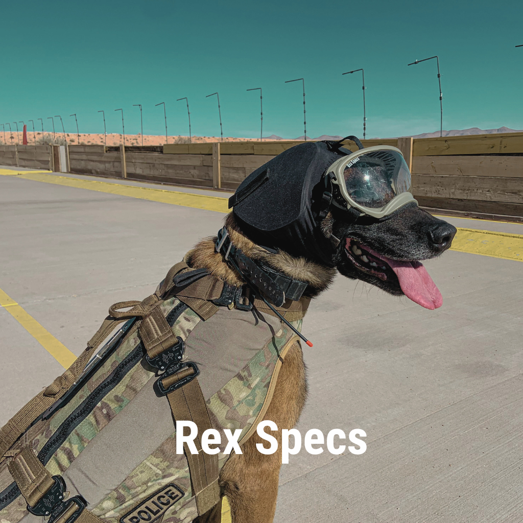 Rex Specs for Dogs | Ruffdog Sports