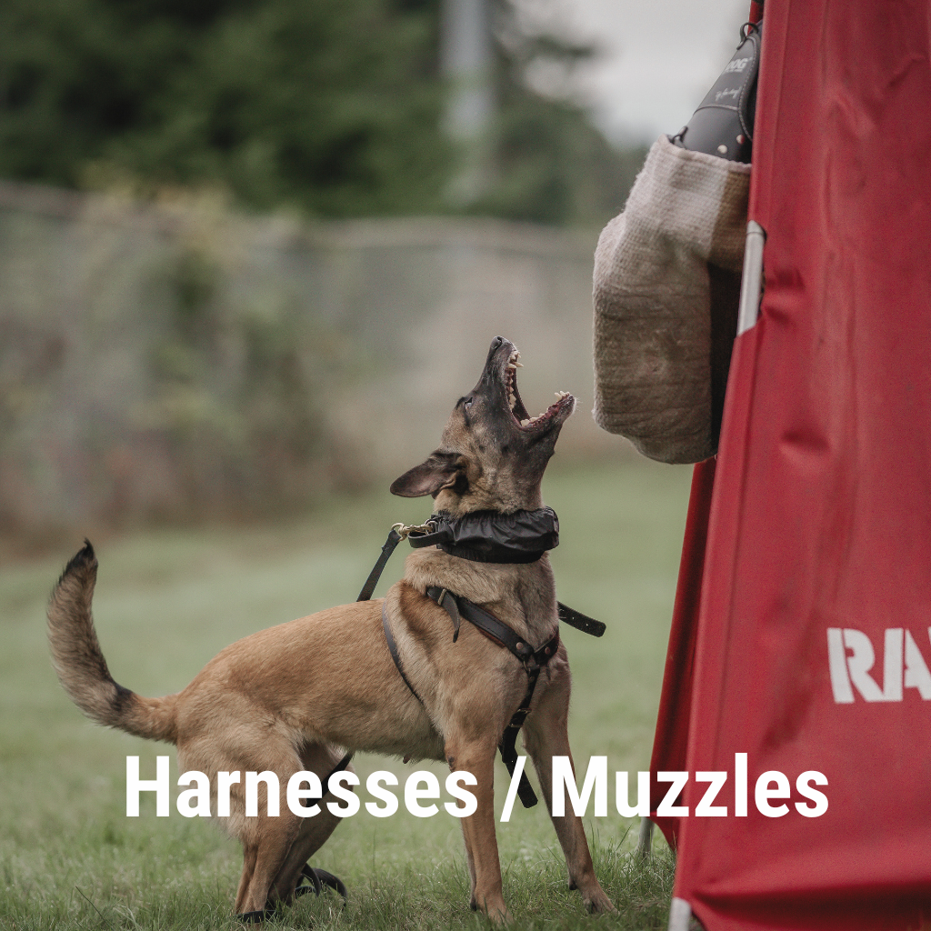 Harnesses & Muzzles for Dogs | Ruffdog Sports