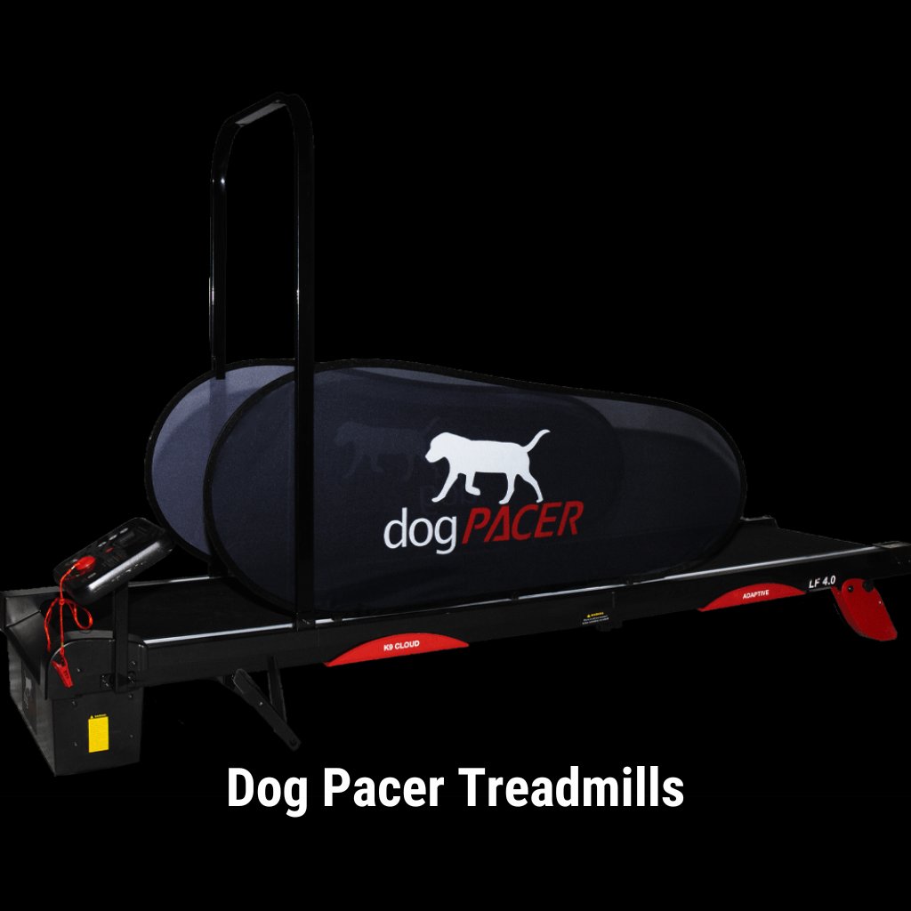 Dog Pacer Treadmill | Ruffdog Sports