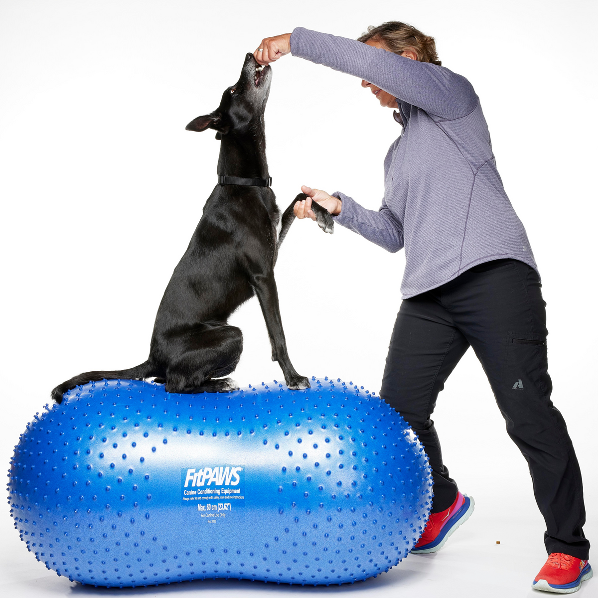 FitPaws Trax Large Peanut - Balance Ball for Dogs | Ruffdog Canada